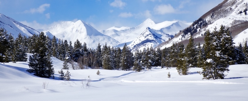 How to Prep Your Lawn for Winter